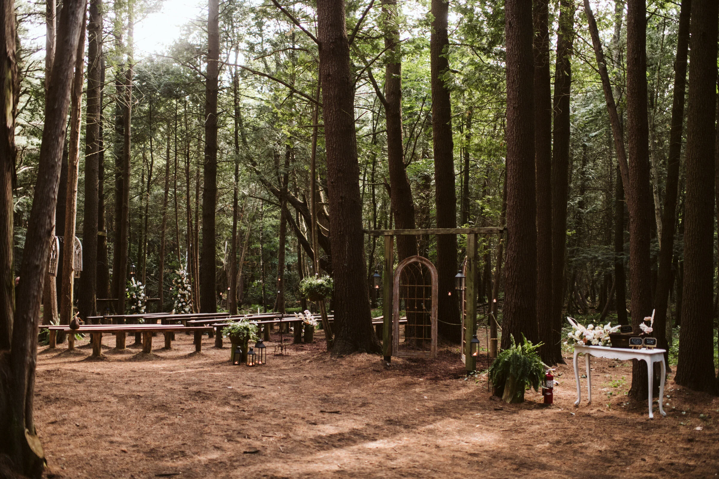 tamara + patrick | an intimate forest wedding at Whispering Springs ...