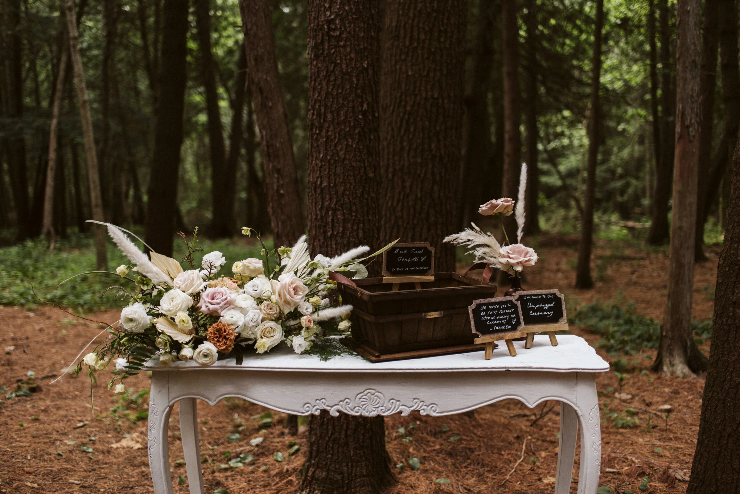 tamara + patrick | an intimate forest wedding at Whispering Springs ...