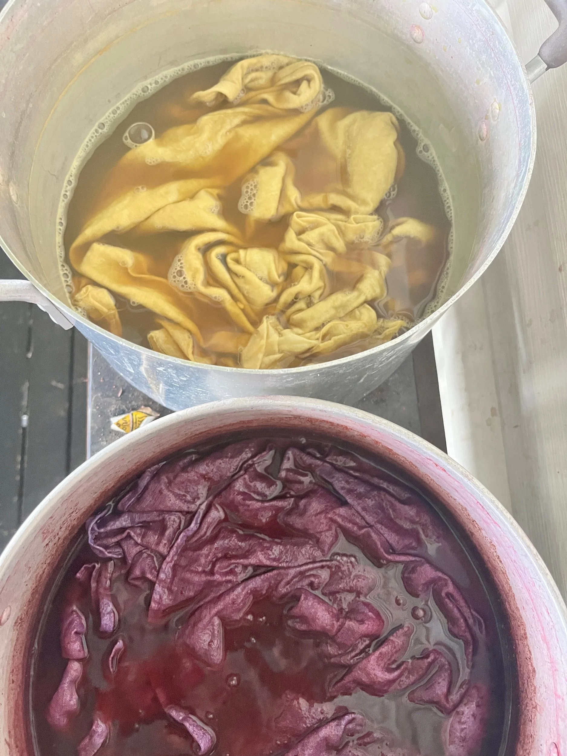Spring Food Waste Dye Day - Break Fast Fashion Cycle- Like Minds Avoca ...