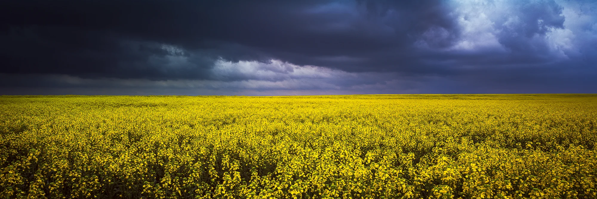 Spring Thunderstorms on the Kansas Prairie - Michael Strickland Images