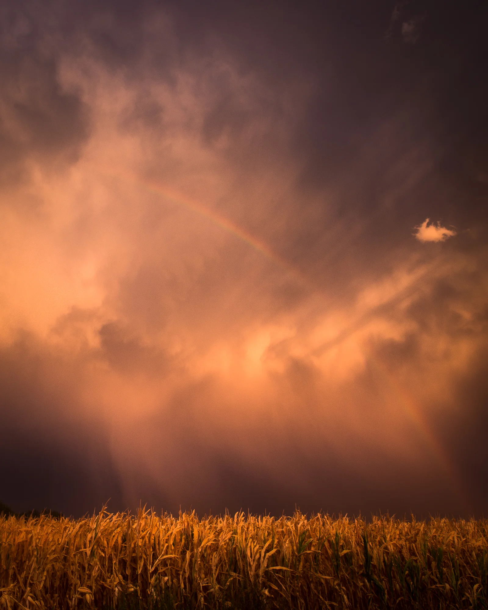 Spring Thunderstorms on the Kansas Prairie - Michael Strickland Images