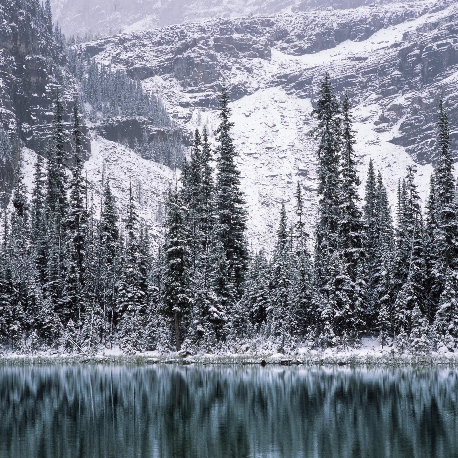 Michael Strickland - Large Format Landscape Photographer