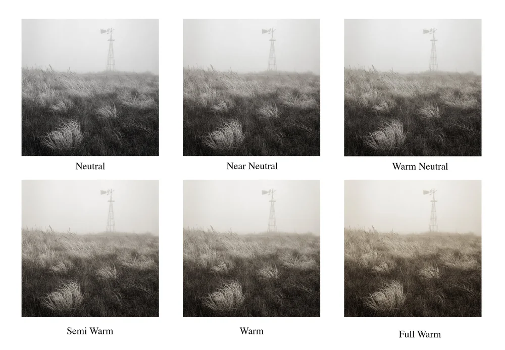 Platinum Palladium Printing Service - Michael Strickland Images