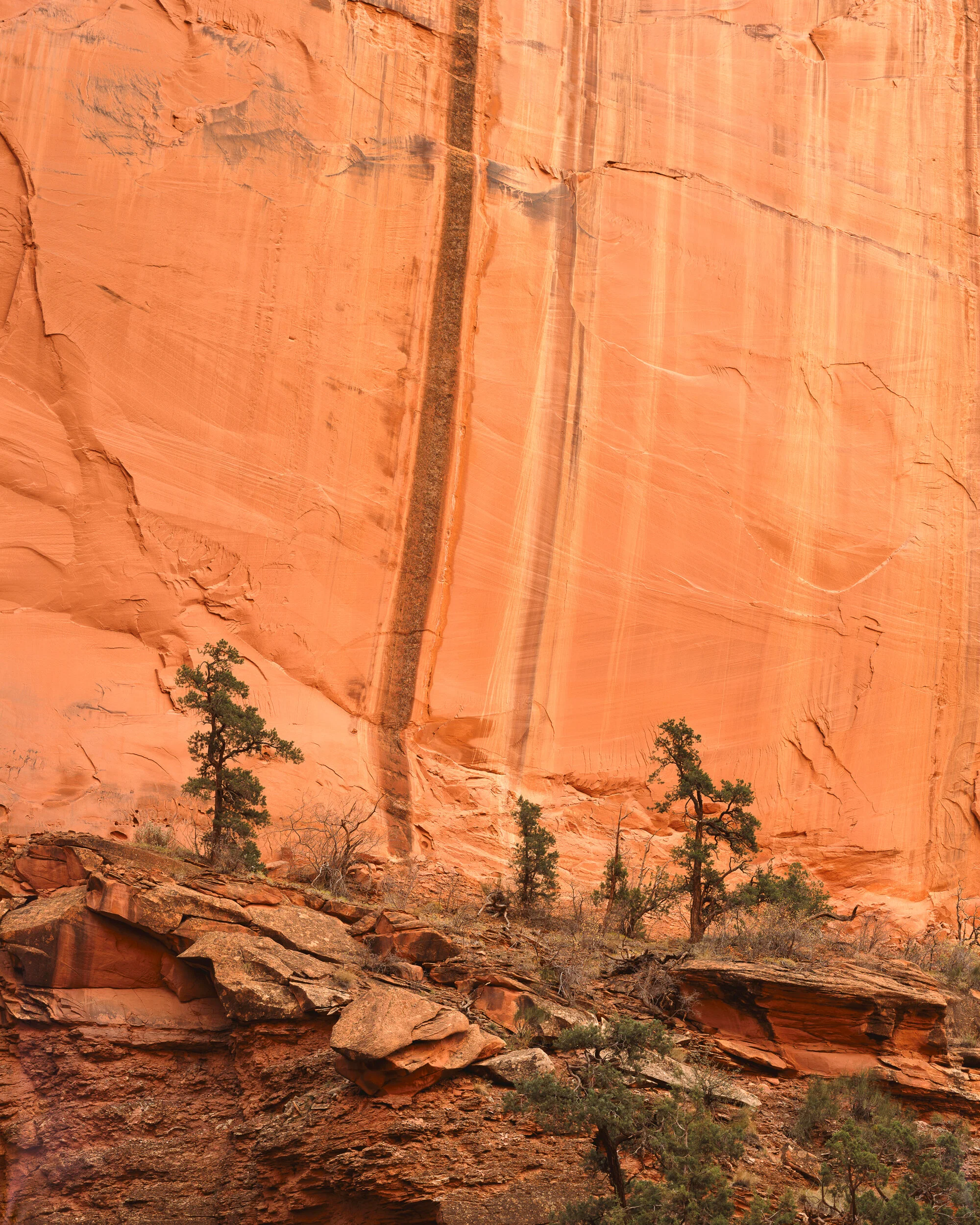 Michael Strickland - Large Format Landscape Photographer