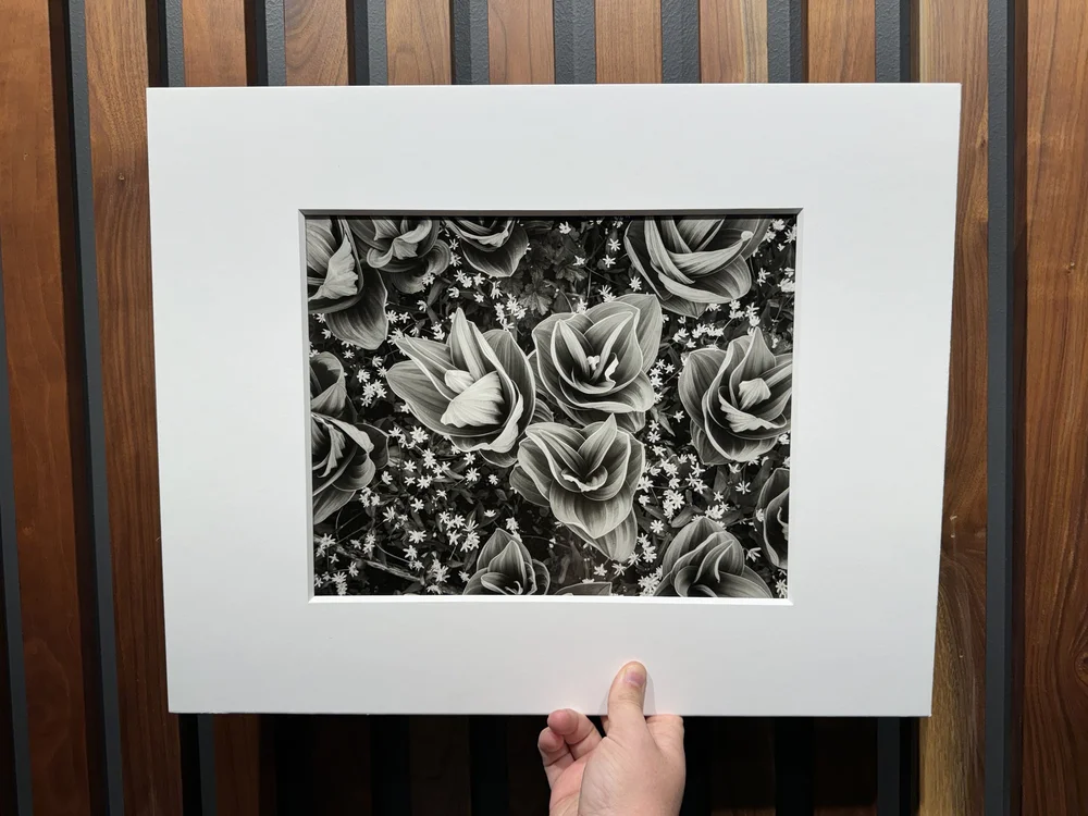 Gelatin Silver Printing - Michael Strickland Images