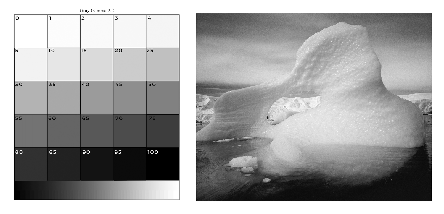 Digital Negatives for Alternative Processes - September 4-5, 2024 ...