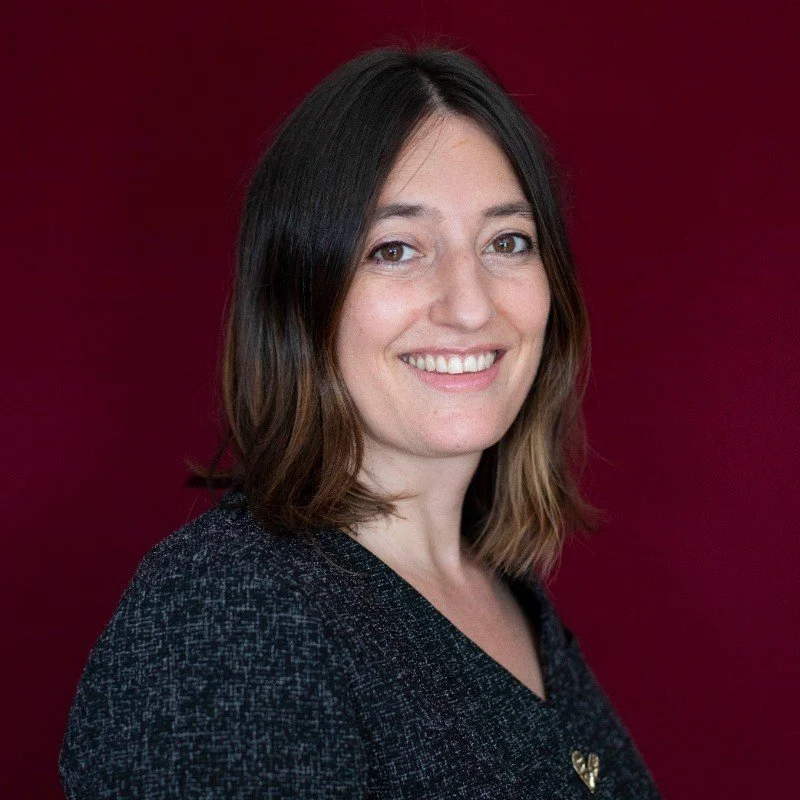 Magnify Films: International Sales Arm of Magnolia Pictures and 2929 ...