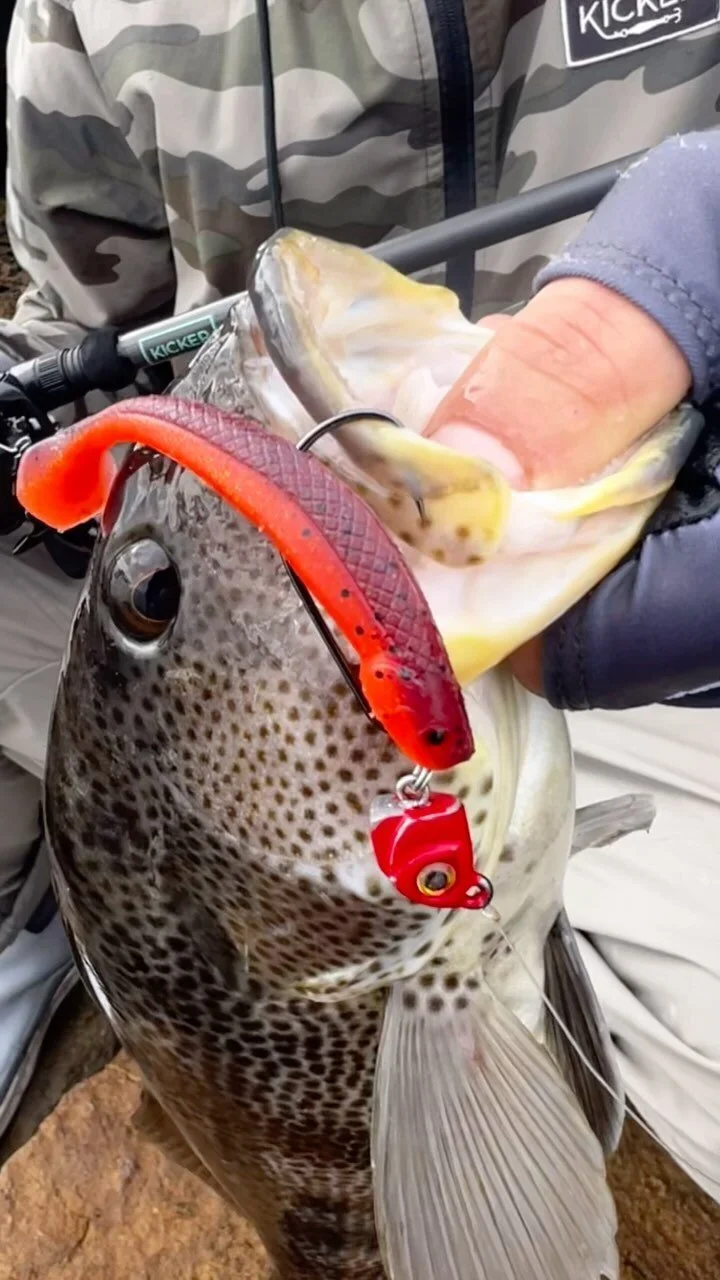 Kicker Fishing Brand