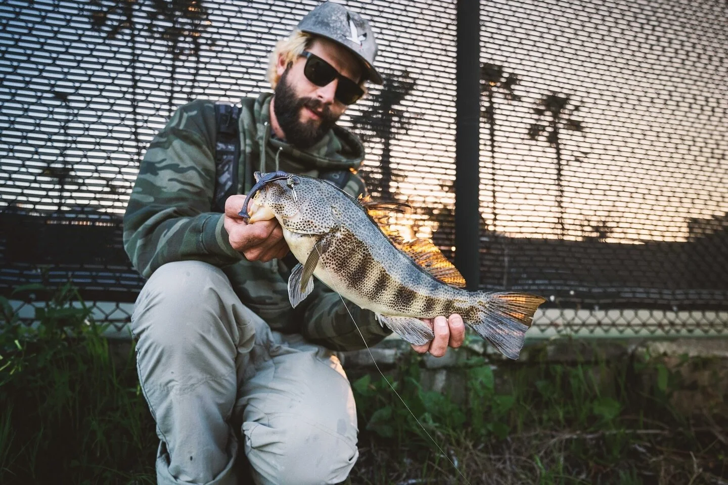 Kicker Fishing Brand