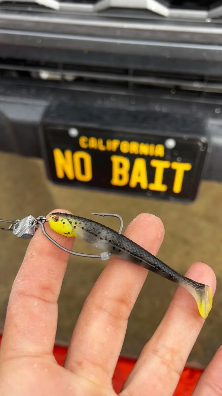 Kicker Fishing Brand