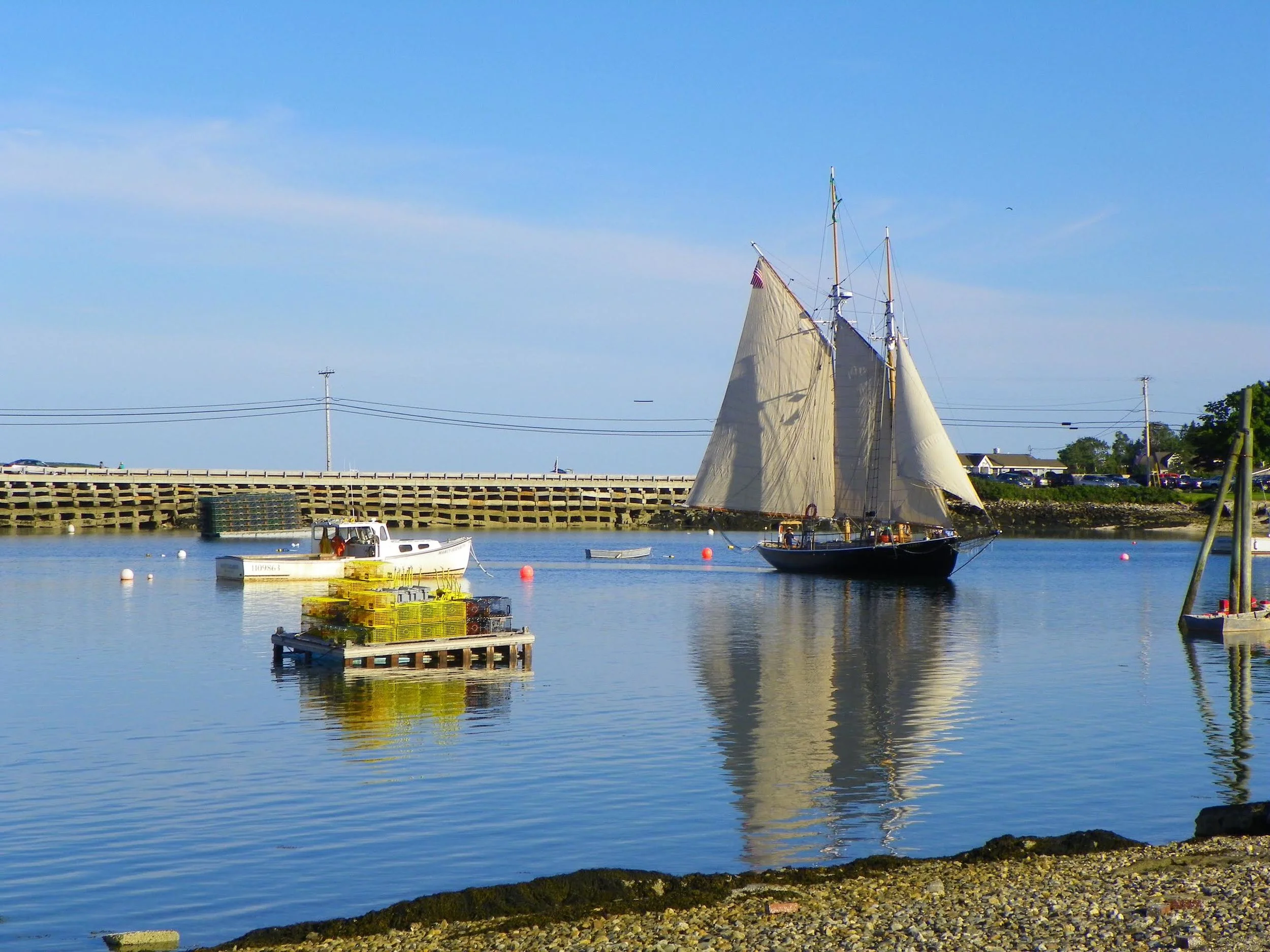 Alert — Sailing Ships Maine