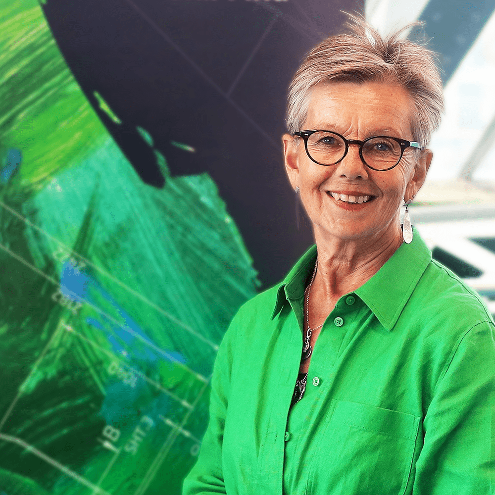 Smart Green Shipping