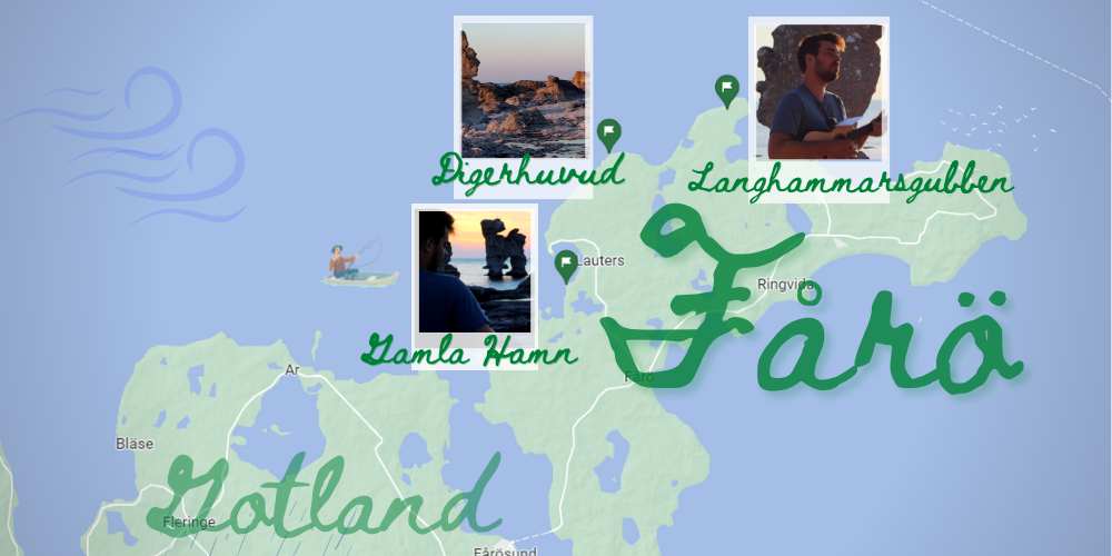 Raukar on Fårö — Ukulele Road Trips