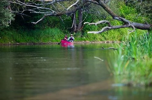 Paddling — Free Spirit Tours
