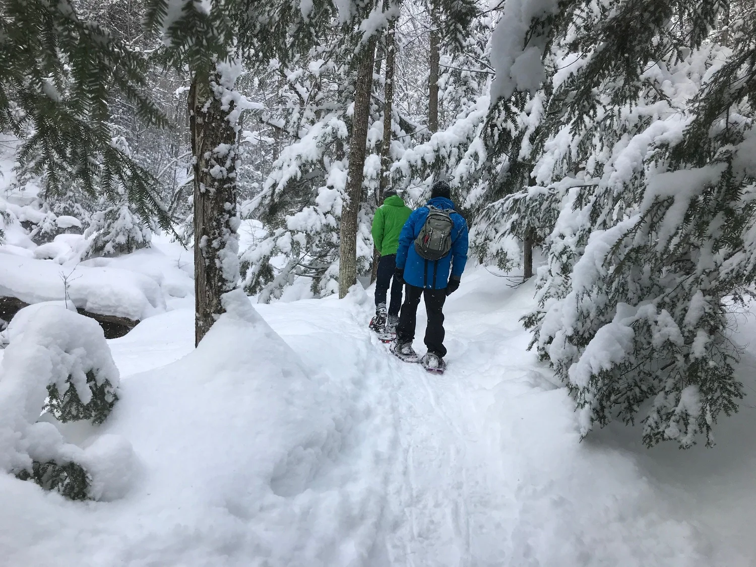 Snowshoeing — Free Spirit Tours