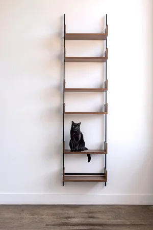 AS4 In Stock - Handmade Wall Mount Modular Shelving — Atlas Industries