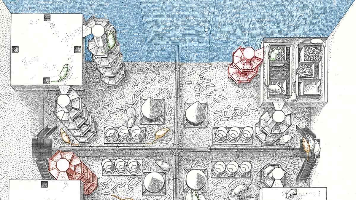 Universe 25 — Rapid Rodent Removal