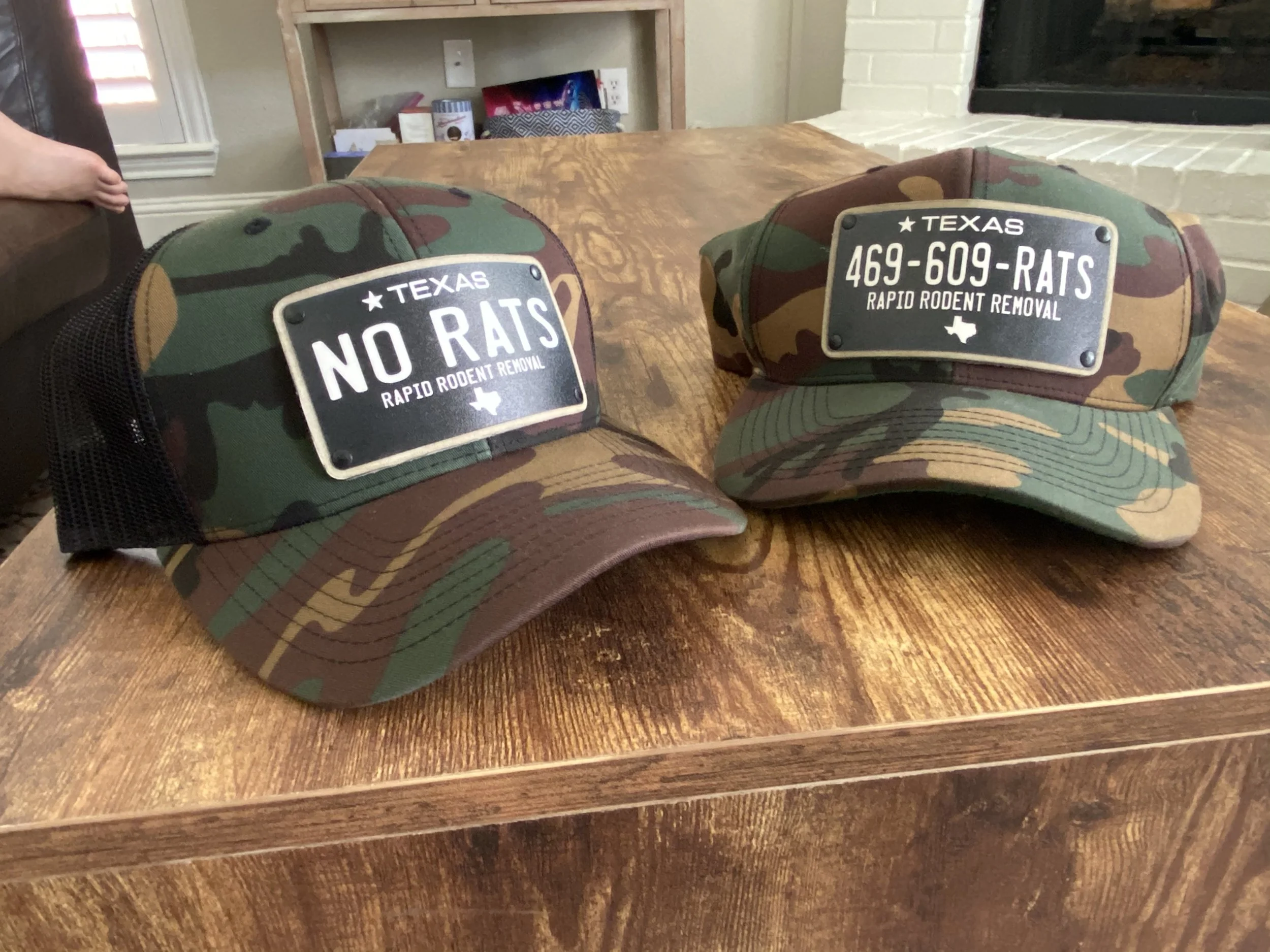 How to tell difference between Rats & Mice | Rat vs Mouse Pictures ...