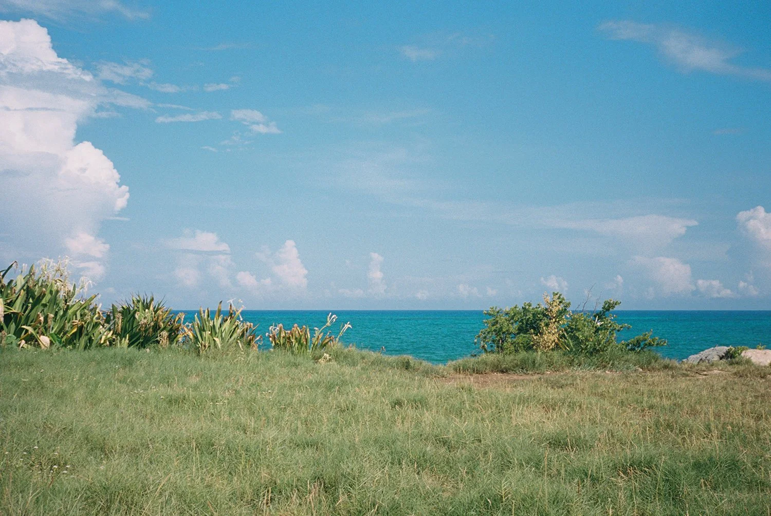 Camille Rice Photography