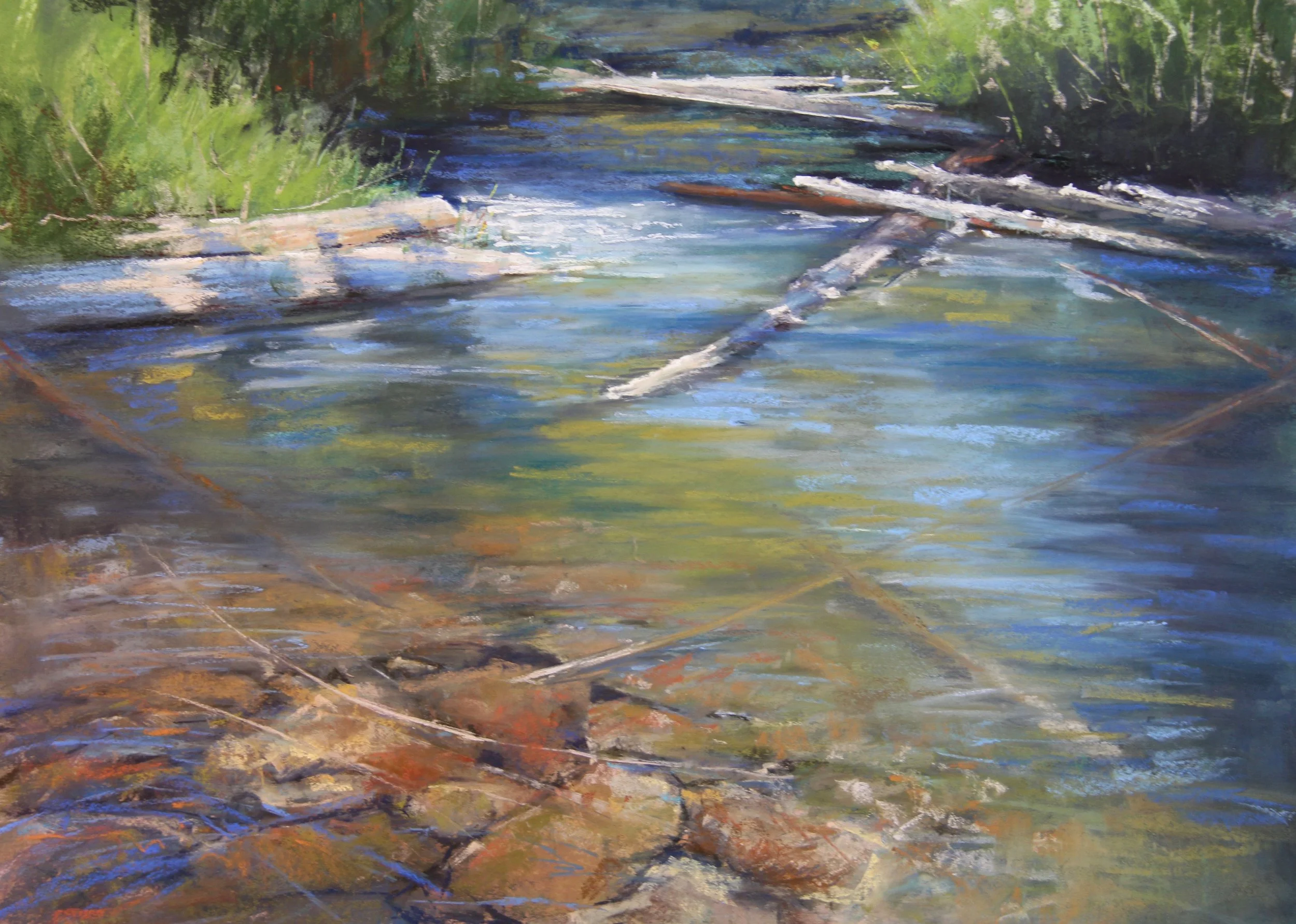 Amanda Houston — Clearwater Gallery & Framing