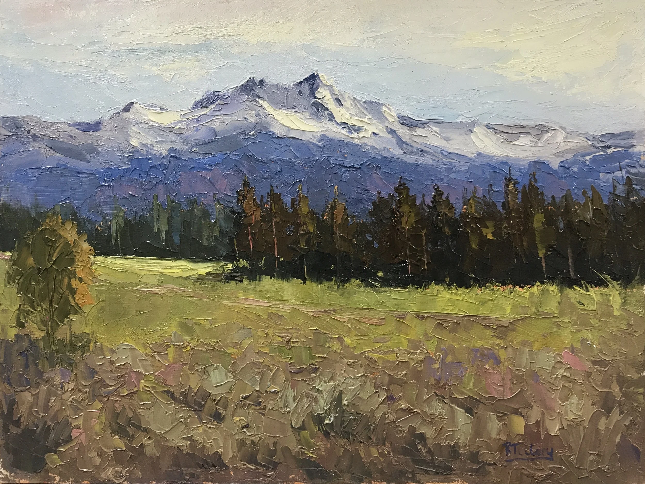 Randall Tillery — Clearwater Gallery & Framing