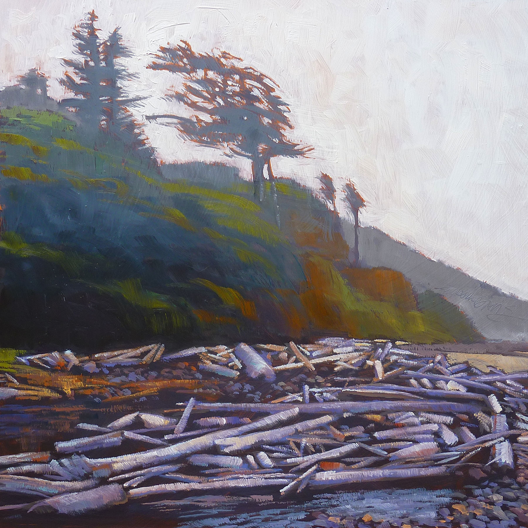 Mark Davis — Clearwater Gallery & Framing