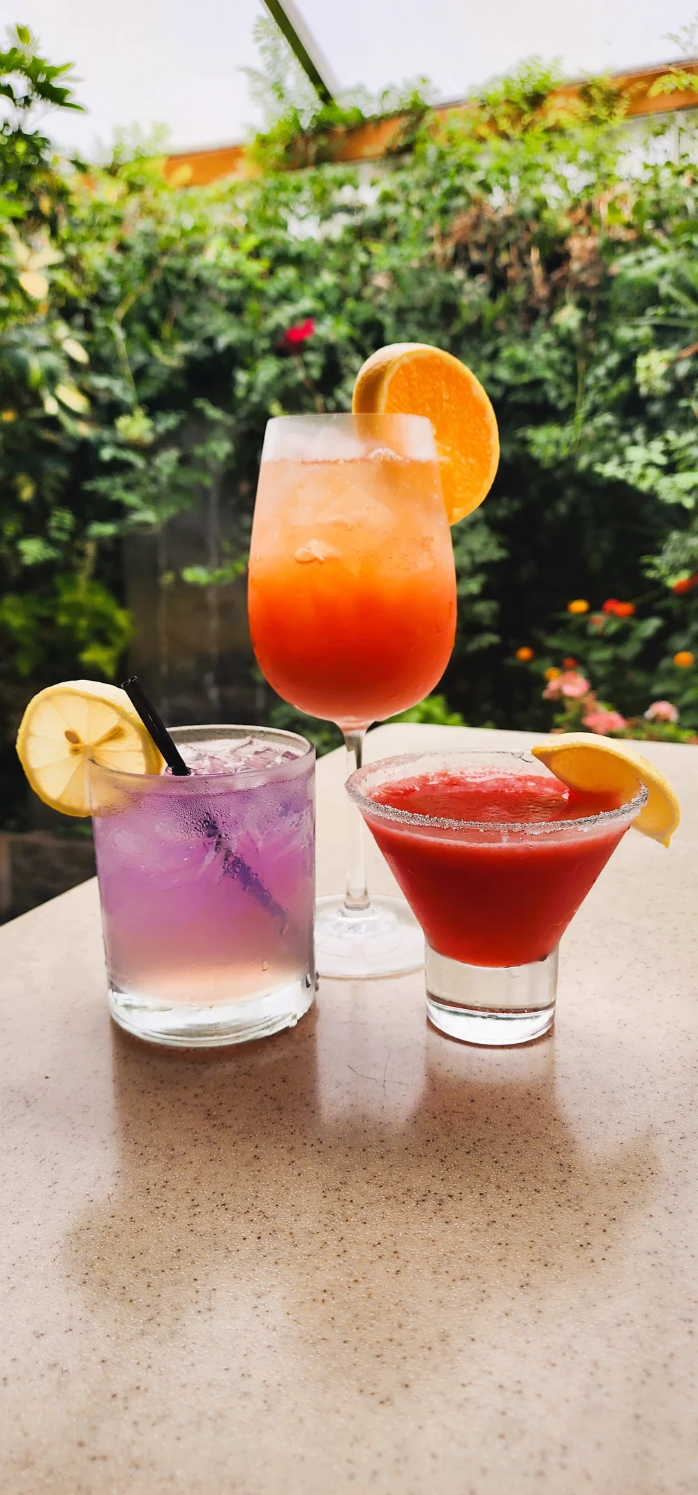 MENU (Fall 2023) — Toscano Restaurant in Sandy & Draper Utah