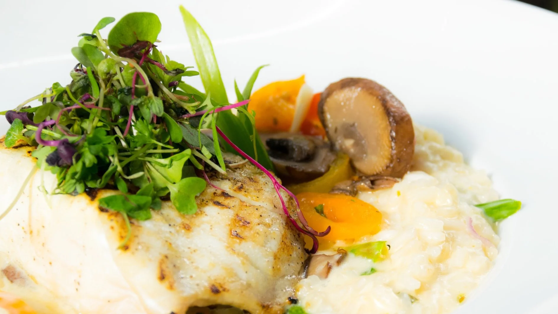 Menu — Toscano Restaurant in Sandy & Draper Utah