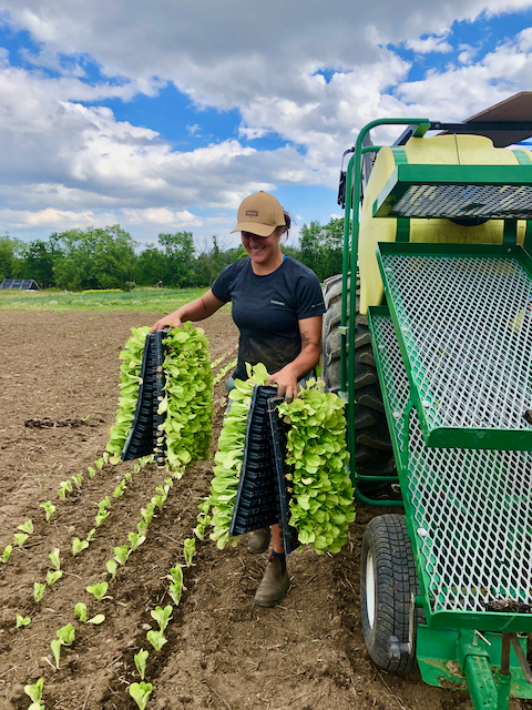 Join Our Farmer Team — Joyfully Organic Farm
