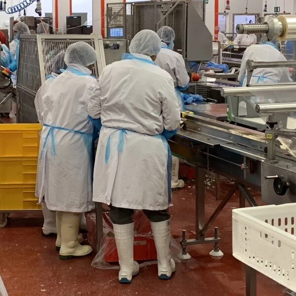 Noise assessments at work - professional and affordable