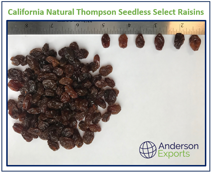 California Raisin & Nut Updates — Anderson Exports | USA