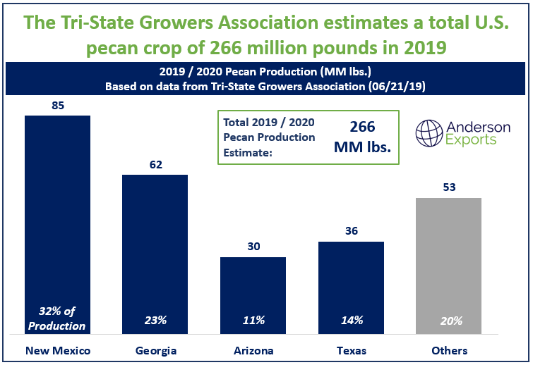Pecan Industry Update — Anderson Exports | USA