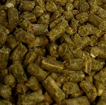 Tops All Size Parrot Pellets — Varietees Bird Store