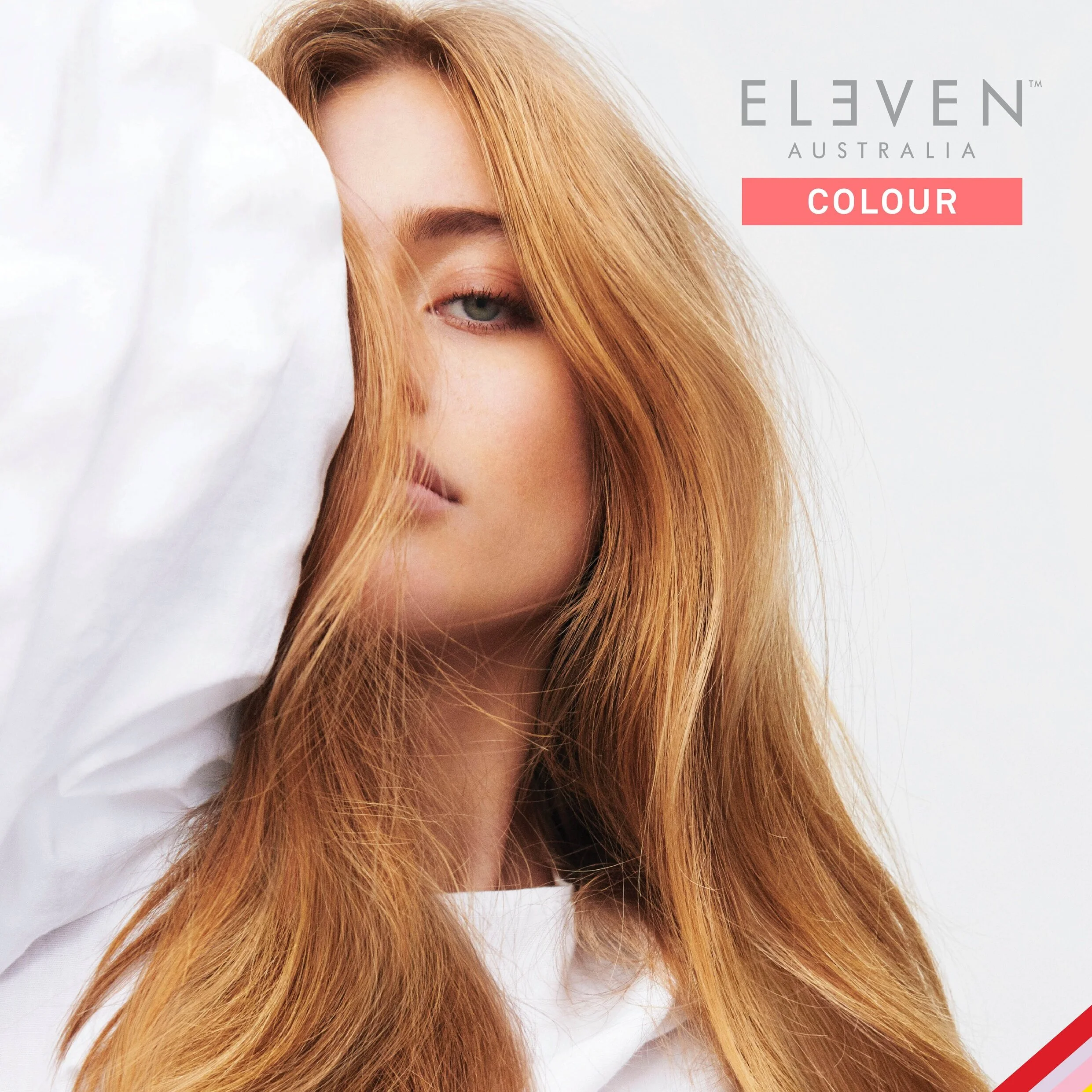 ELEVEN COLOUR - 11 SWATCHES (NL) — BUILDING BLOCKS