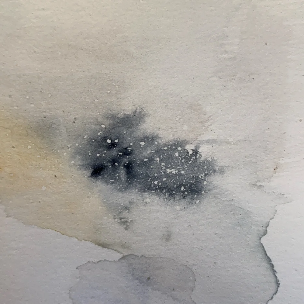stellar frequencies | Lark Press