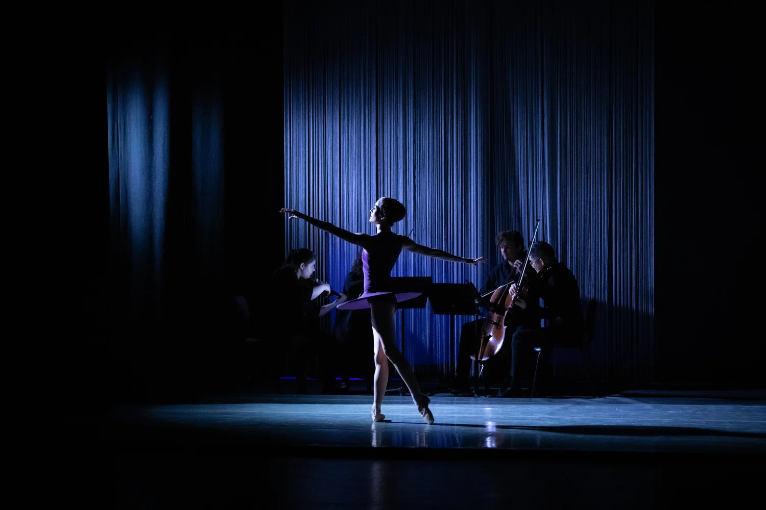 Guest Artists — Ballet Des Moines