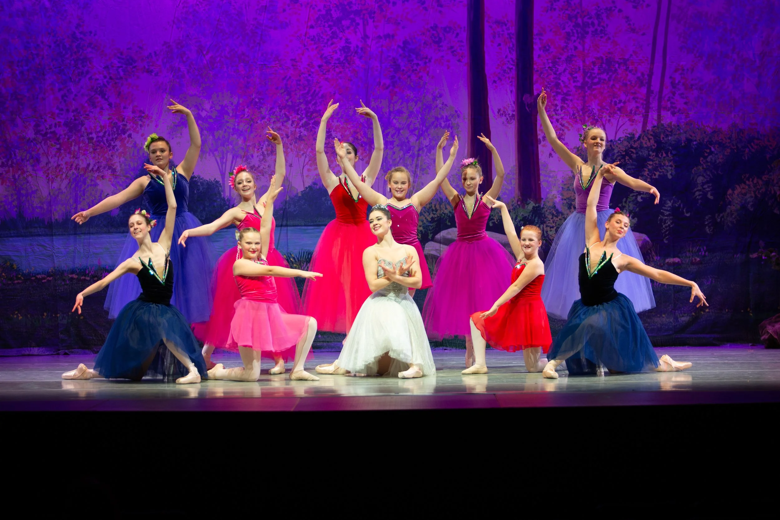 Weekly Nut videos — Ballet Des Moines