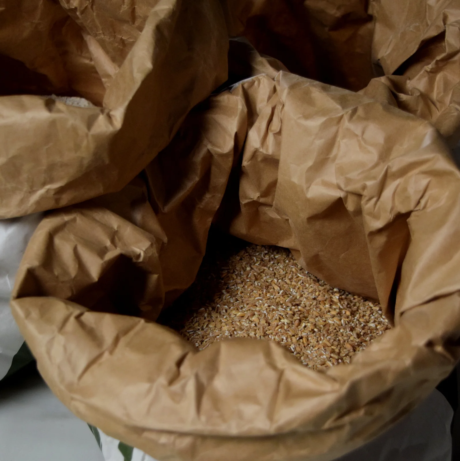 Press — AVM Curiosities