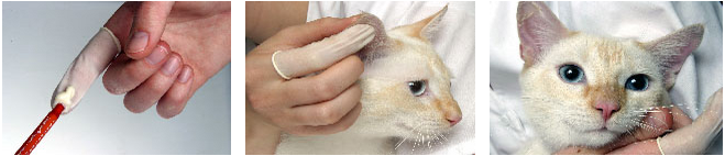 Veterinary Compounding — University Pharmacy