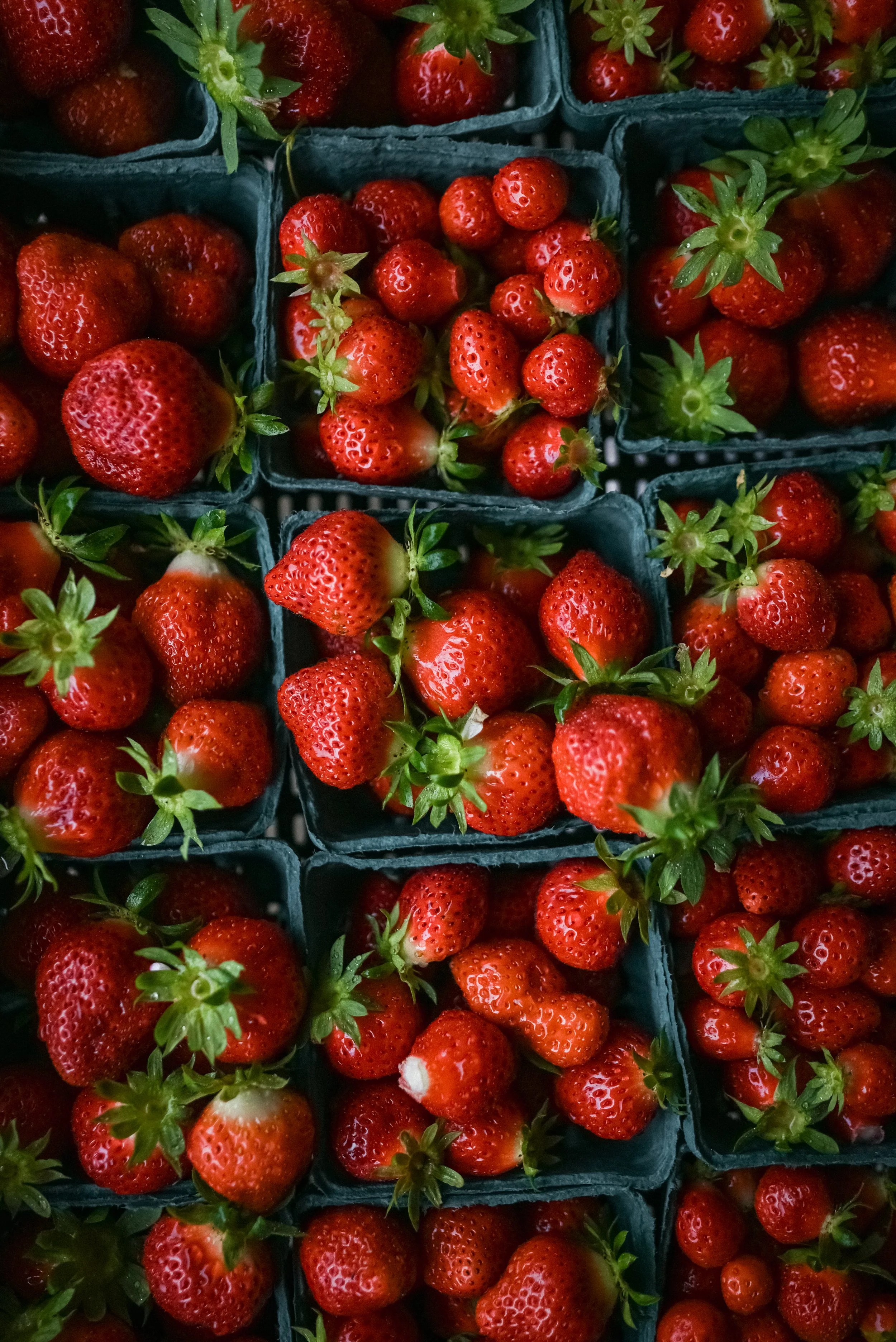 Chino Farm