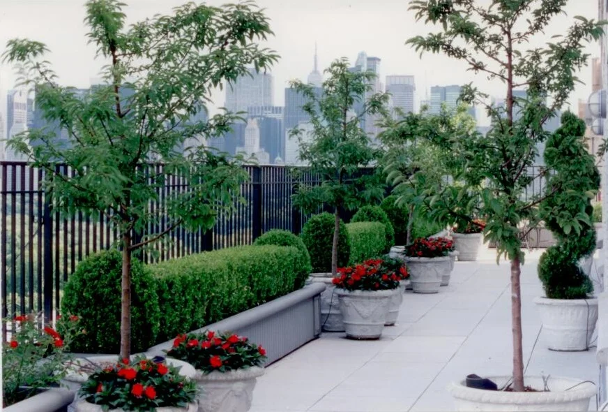 Additional Projects — Evan C. Lai Landscape Design, Inc.