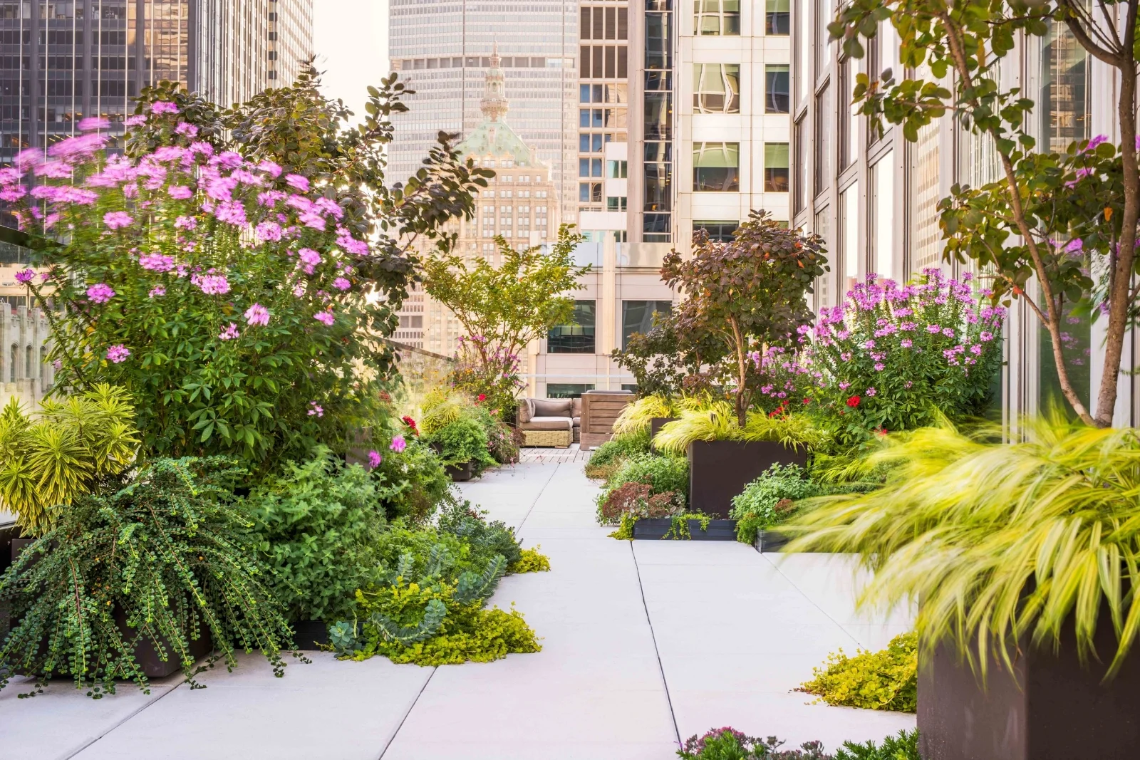 Park Ave Commercial Terrace — Evan C. Lai Landscape Design, Inc.