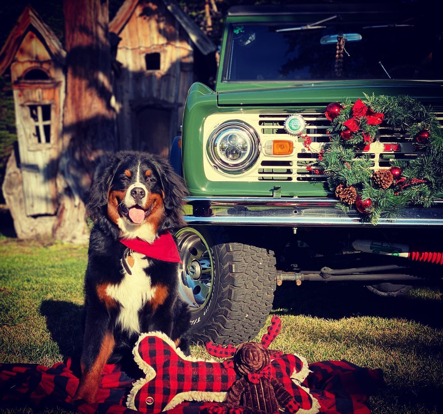 Steve Beutel, Realtor Sotheby's International Realty, Carmel, CA ...