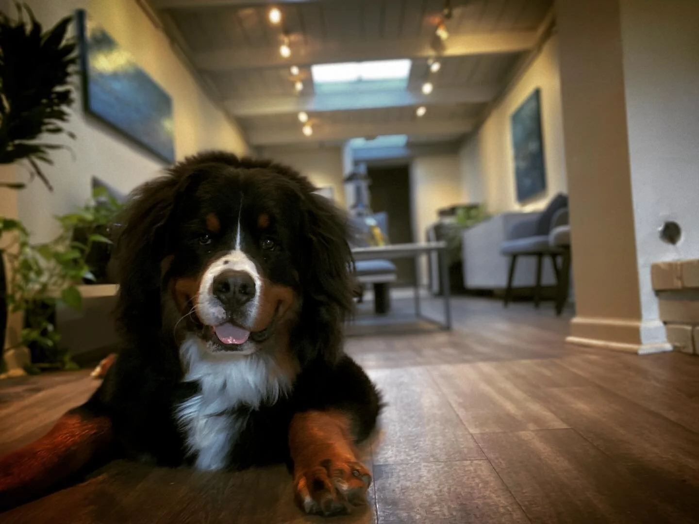 Steve Beutel, Realtor Sotheby's International Realty, Carmel, CA ...