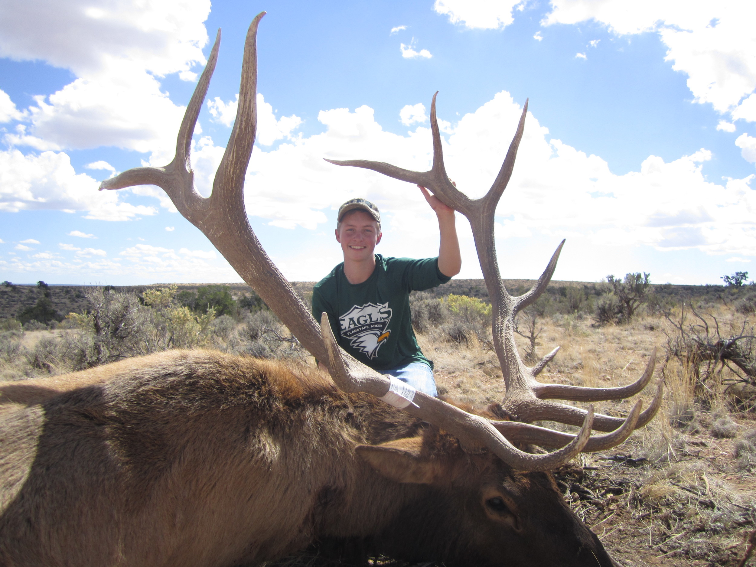 Arizona Elk Hunting — High Point Outfitters