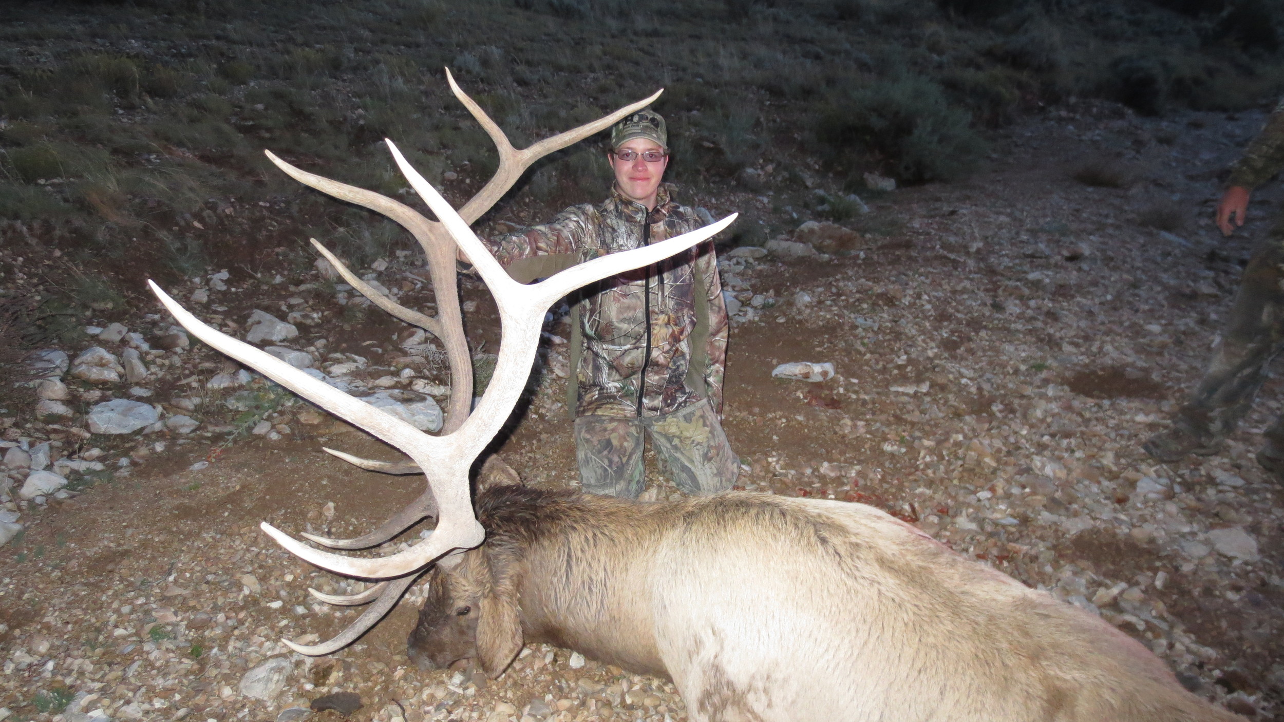 Arizona Elk Hunting — High Point Outfitters