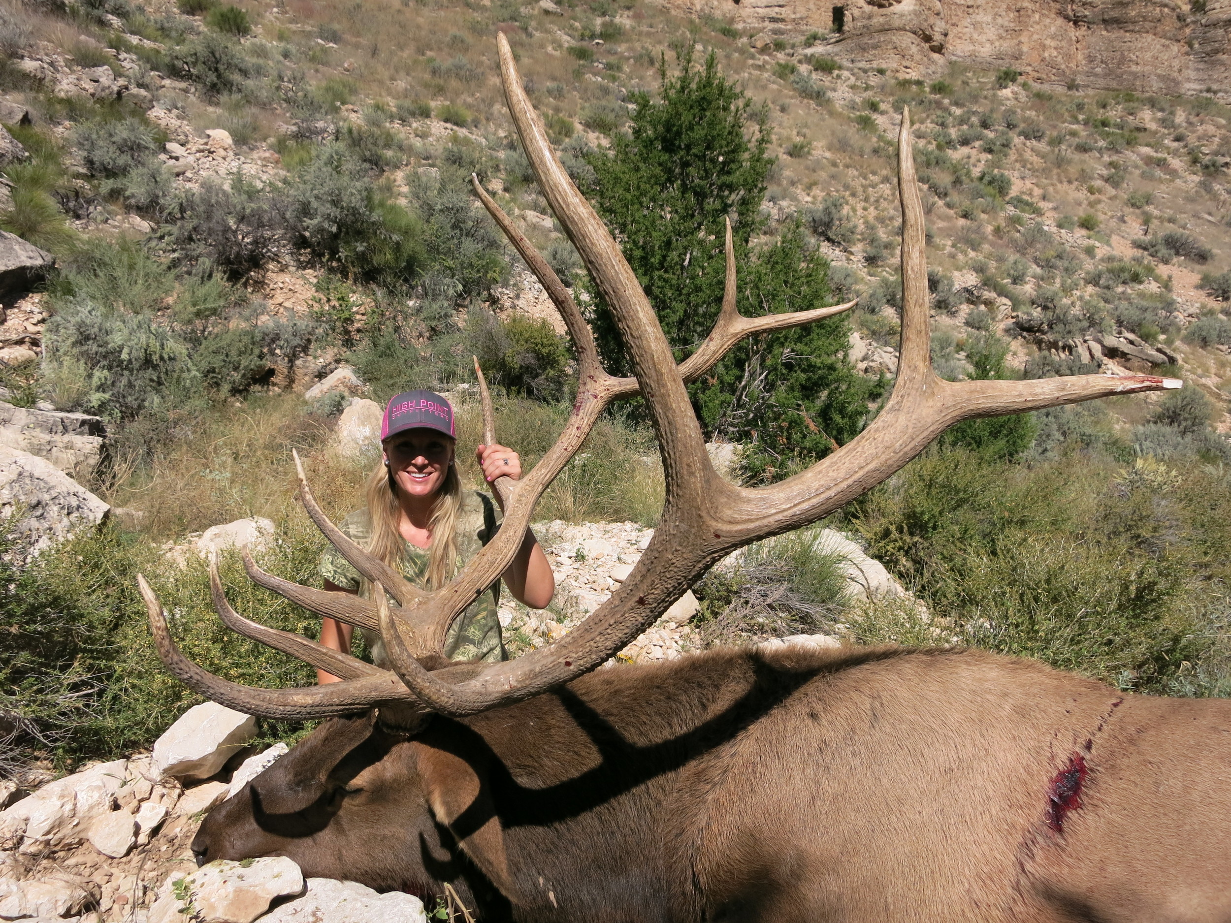 Arizona Elk Hunting — High Point Outfitters