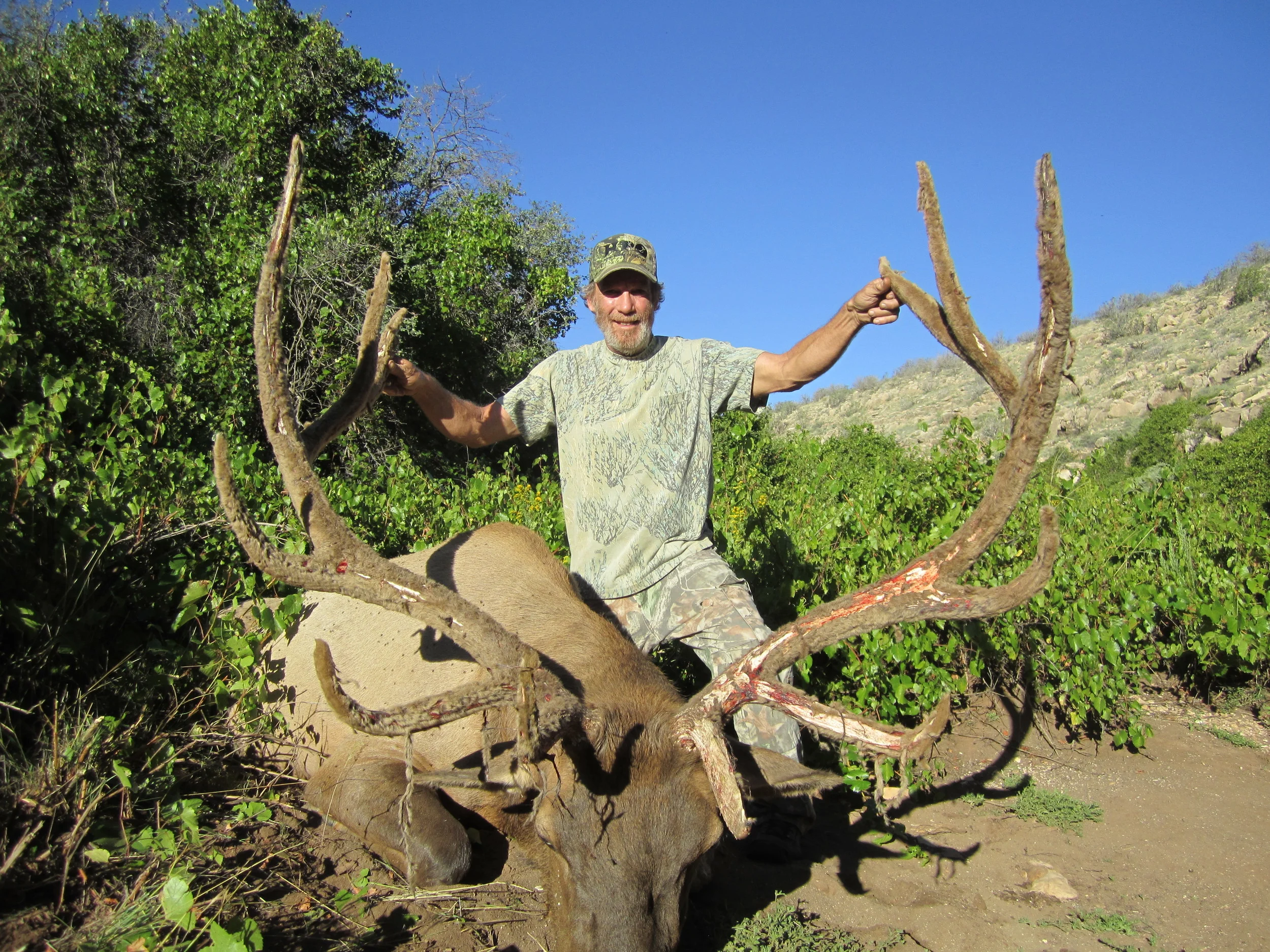 Arizona Elk Hunting — High Point Outfitters
