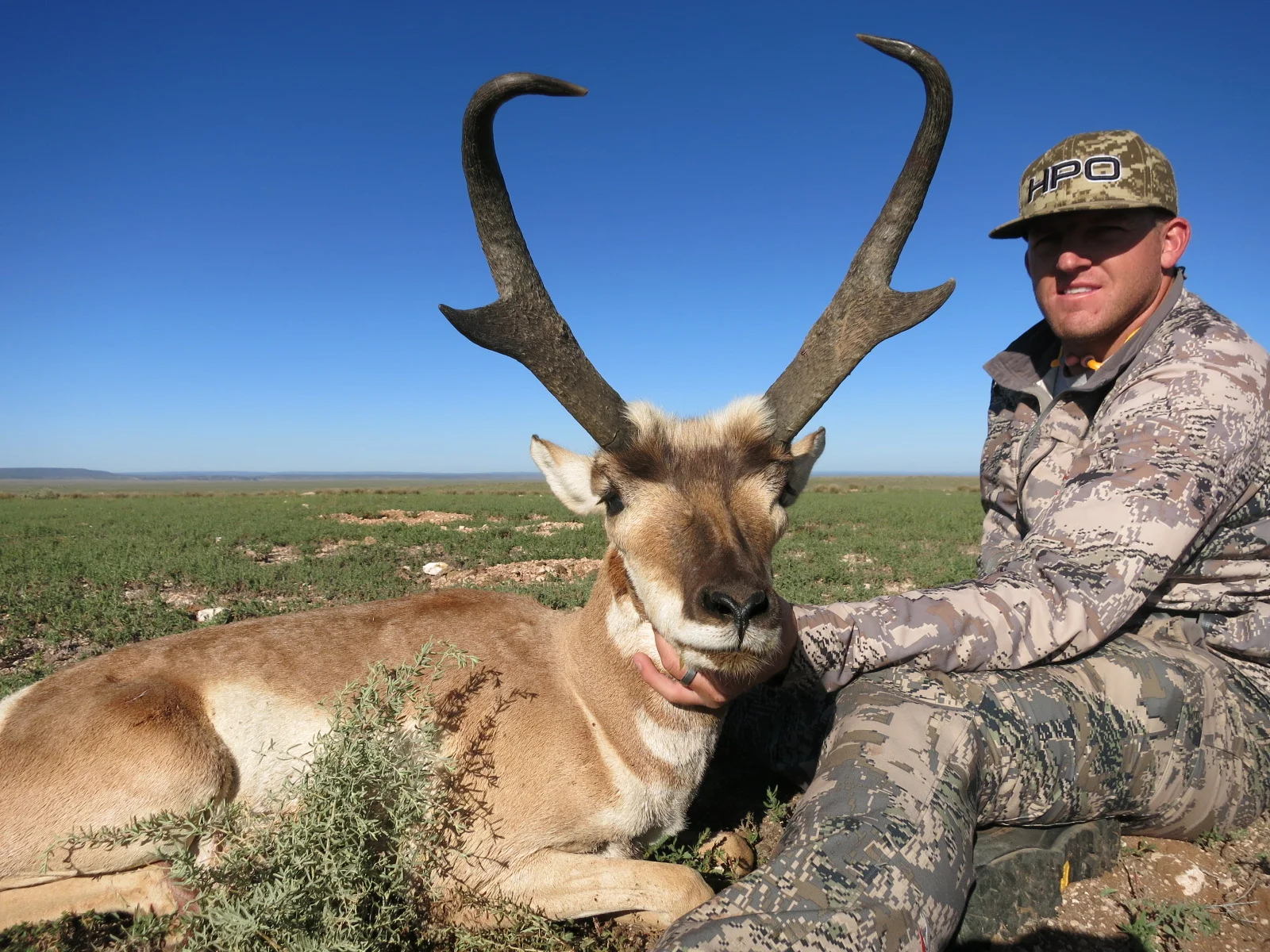 Arizona Antelope Hunting — High Point Outfitters