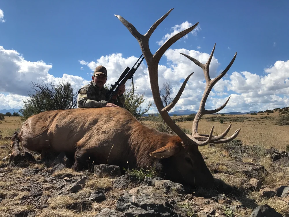 Arizona Elk Hunting — High Point Outfitters